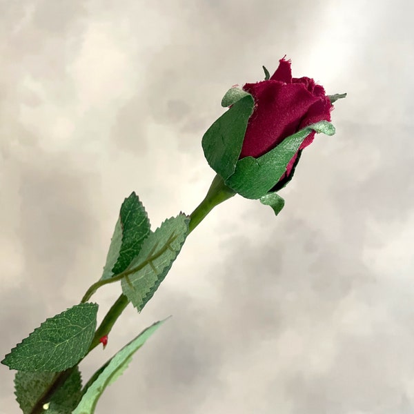 Deep Red Roses - Etsy