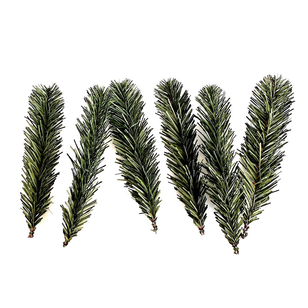 6 Green Pine Sprigs - Artificial Floral, Artificial Greenery - 8 Inches ...