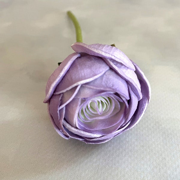 Lavender Ranunculus - Etsy