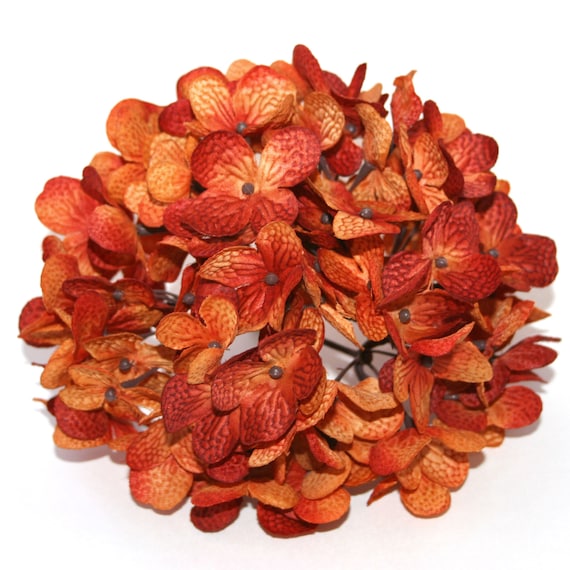 Orange Silk Hydrangea