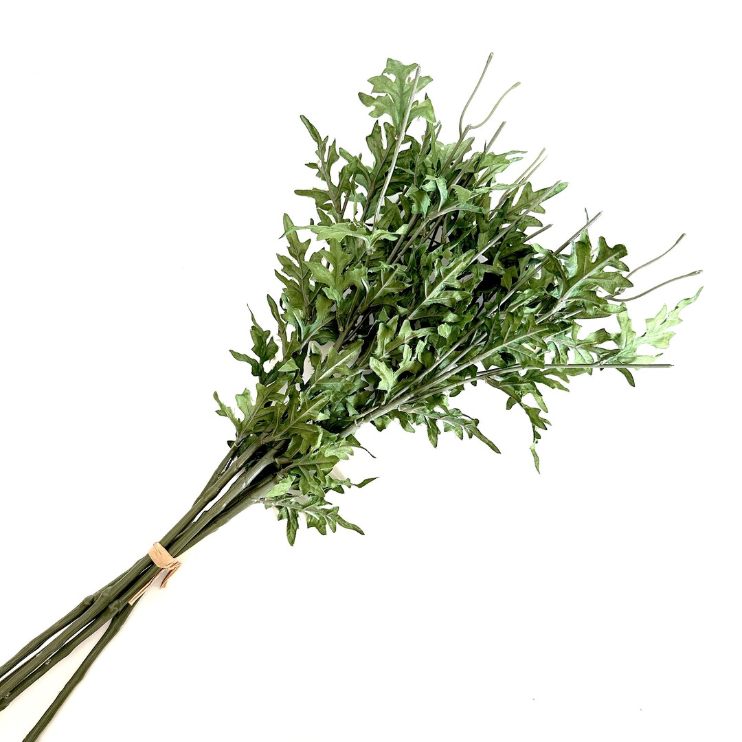 5 Stems With Leaves and Multiple Floral Connectors for DIY Bouquets ...