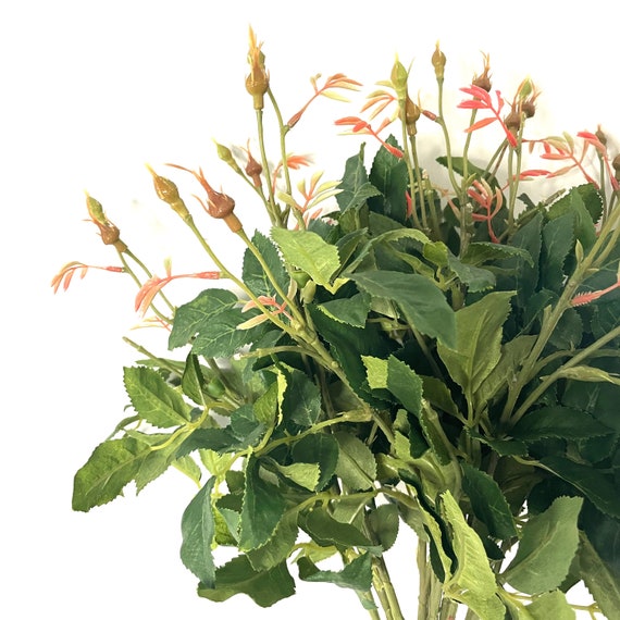 6 Botanical Rose Stems With Leaves for DIY Bouquets | Etsy