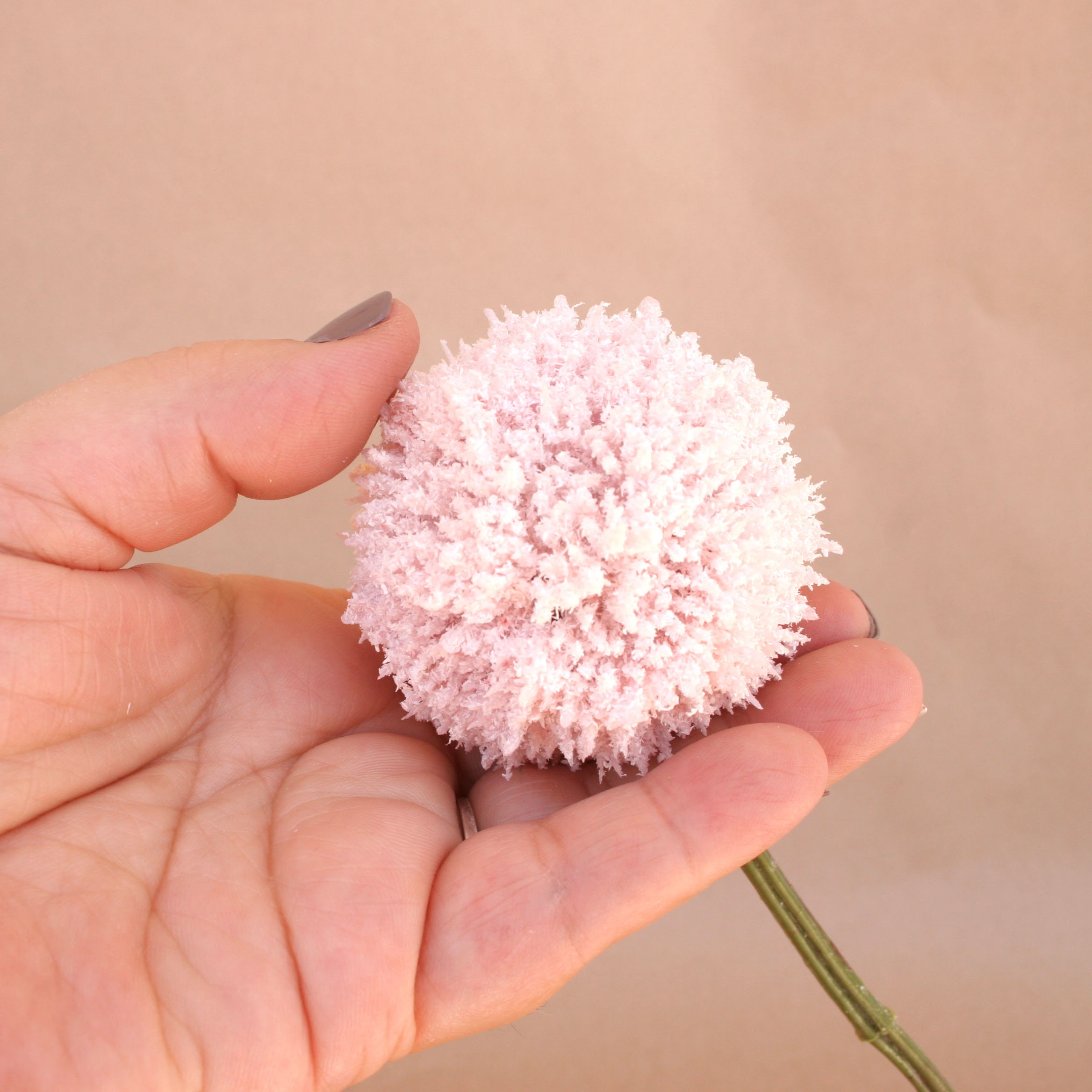 Pink Snowball Pick Odd Floral | Etsy