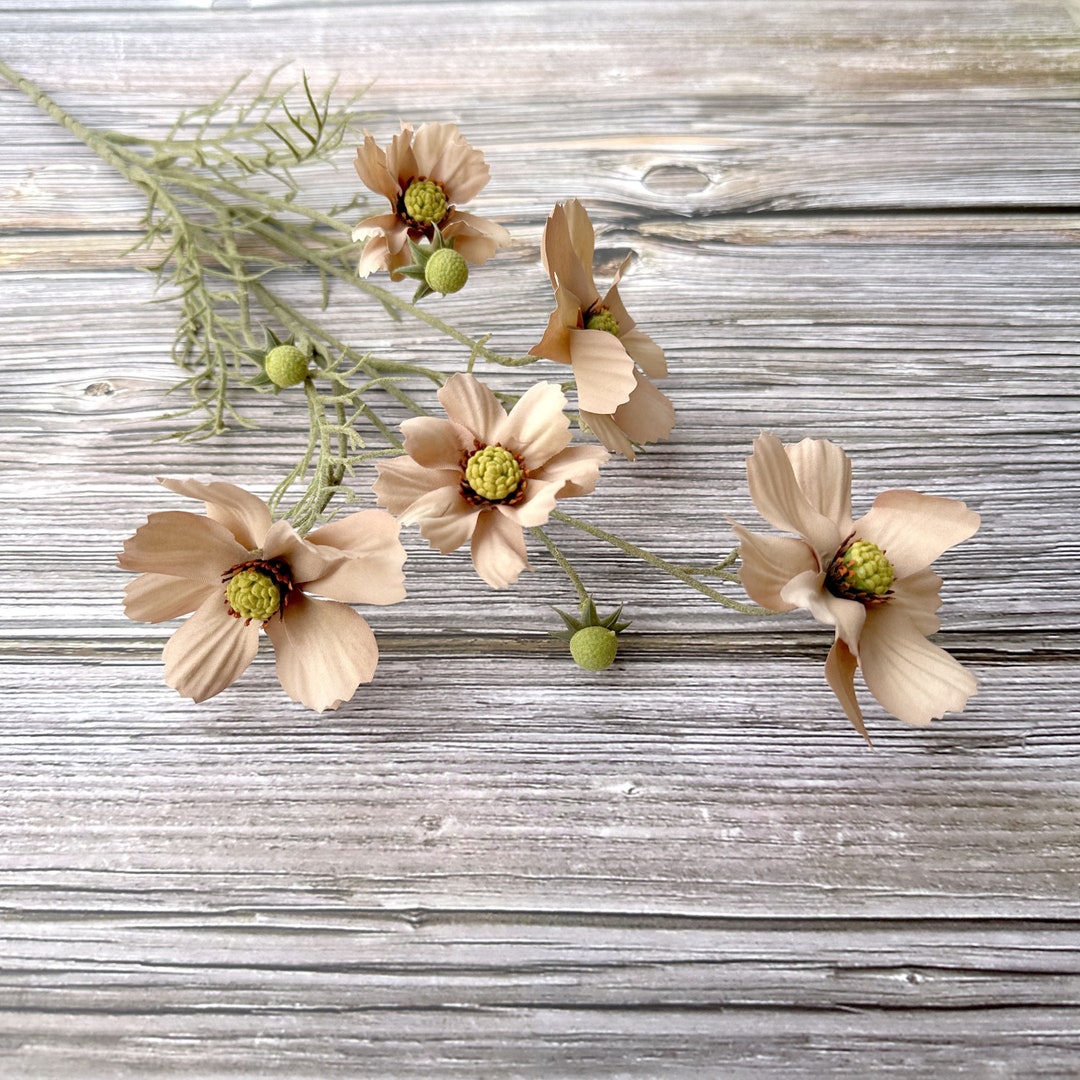Beige Cosmo Branch - Artificial Flowers, Silk Flowers - Etsy