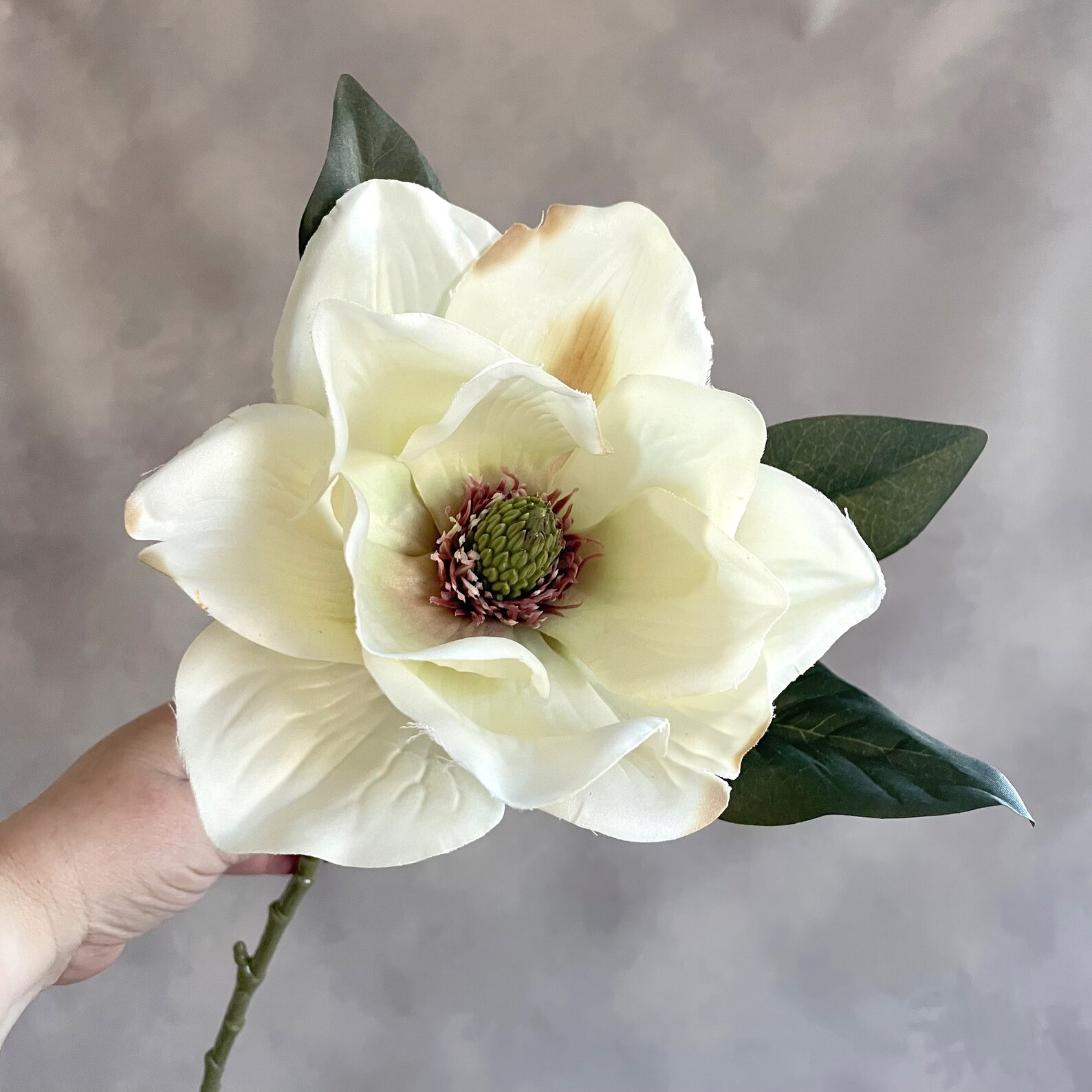 Jumbo Cream Magnolia With or Without Stem Artificial Flower - Etsy