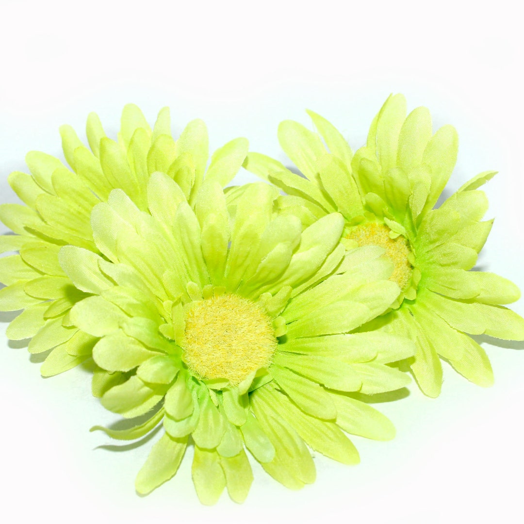3 Light Green Gerbera Daisies - Arificial Flowers, Silk Flowers - Etsy