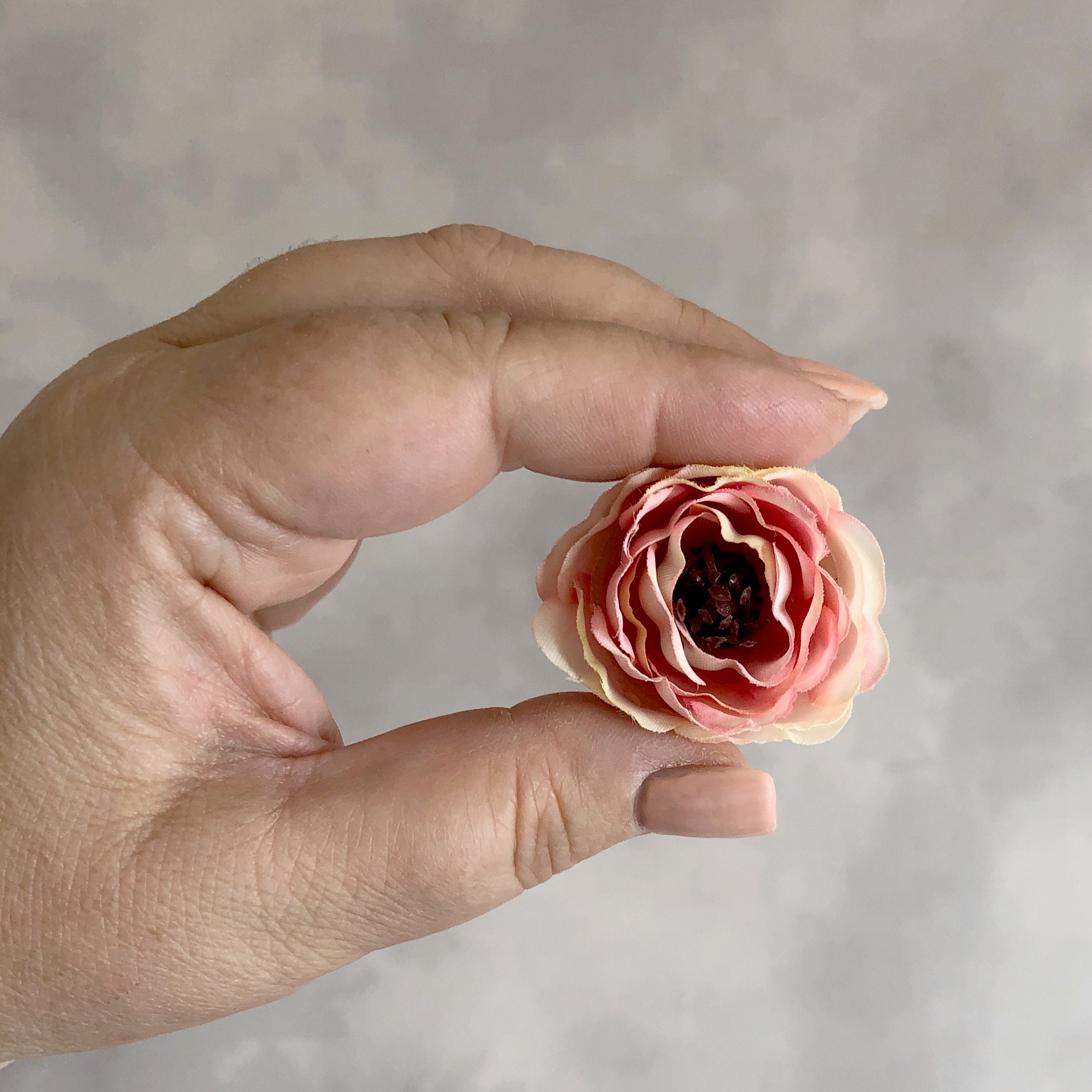 5 Small CREAMY PINK Vintage Inspired Ruffle Ranunculus - Etsy
