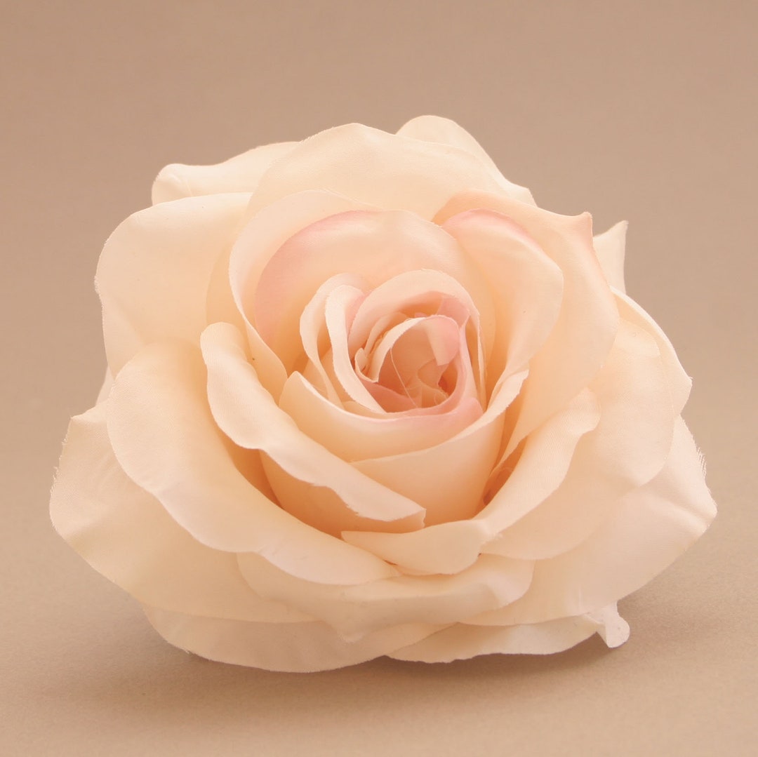 Blush Ivory Rose - Artificial Flower - Silk Flower Heads - Etsy