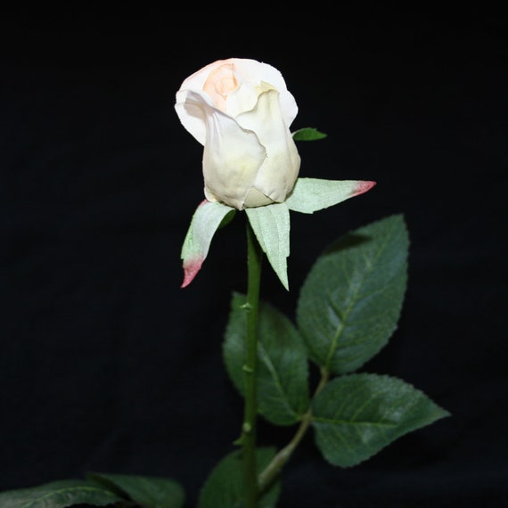 Vanilla Gina Rose Bud Barely Blooming Artificial Flowers - Etsy