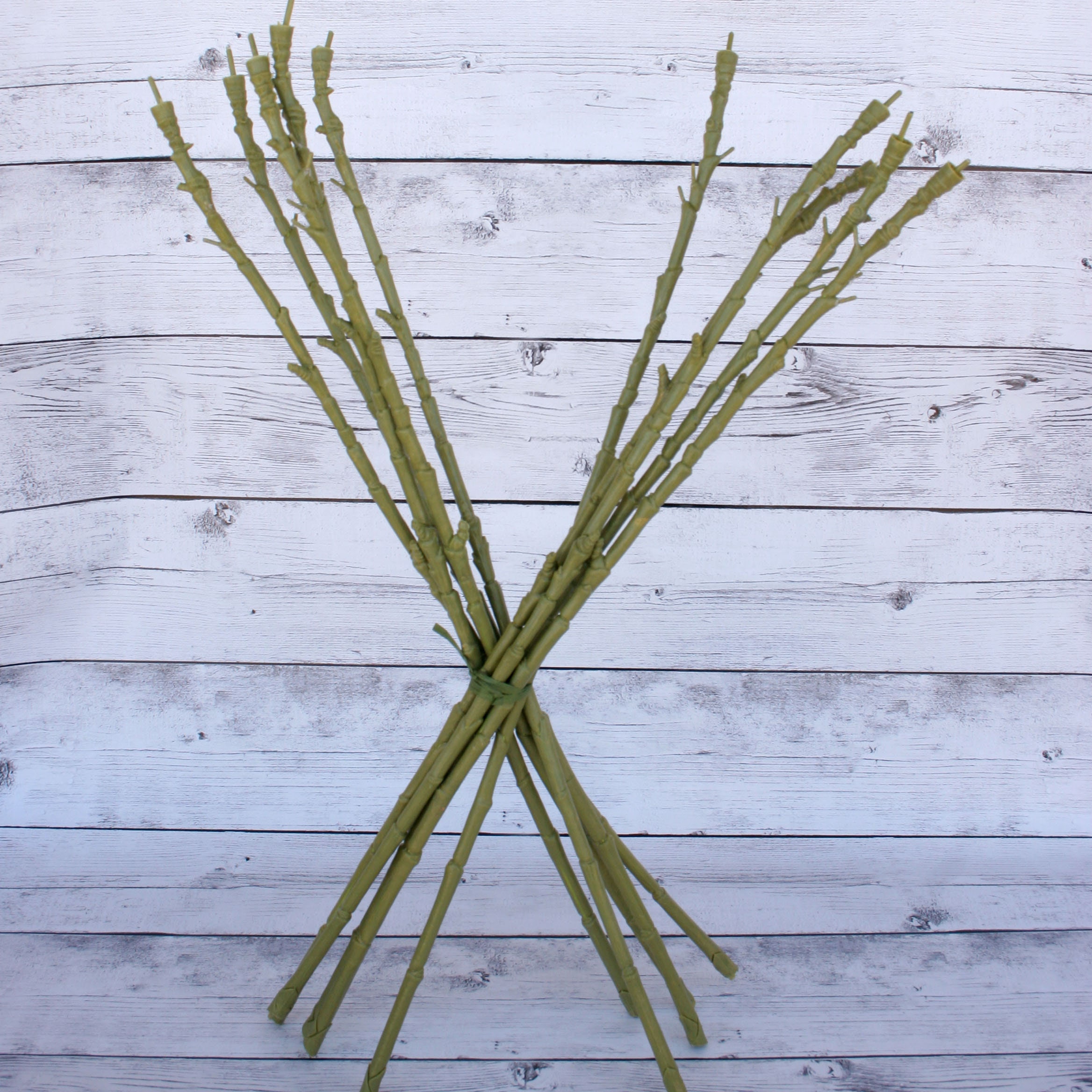 25 Thick Magnolia Stems for DIY Bouquets Stems only | Etsy