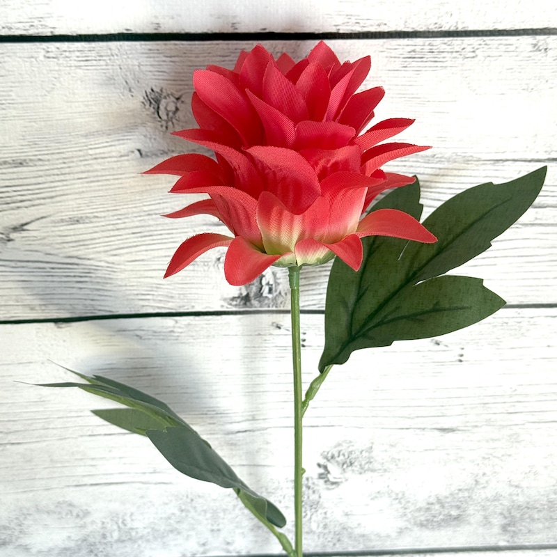 SilkInspirations - Etsy