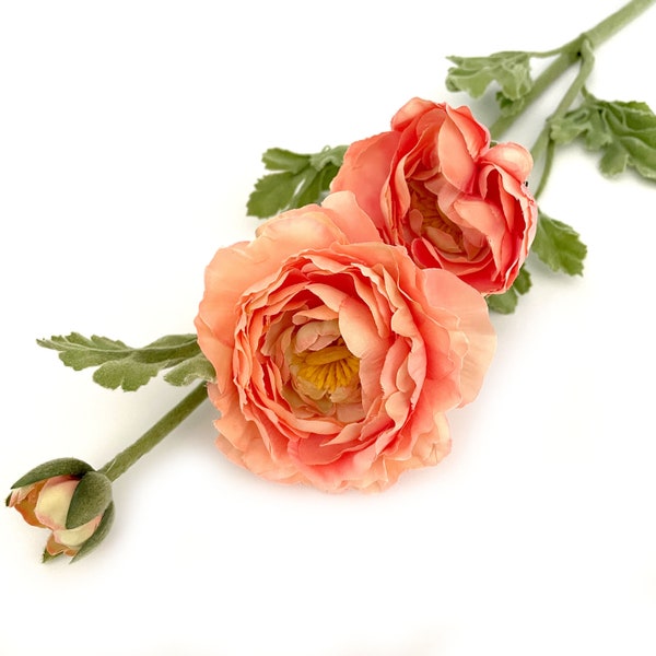 Peach Ranunculus - Etsy