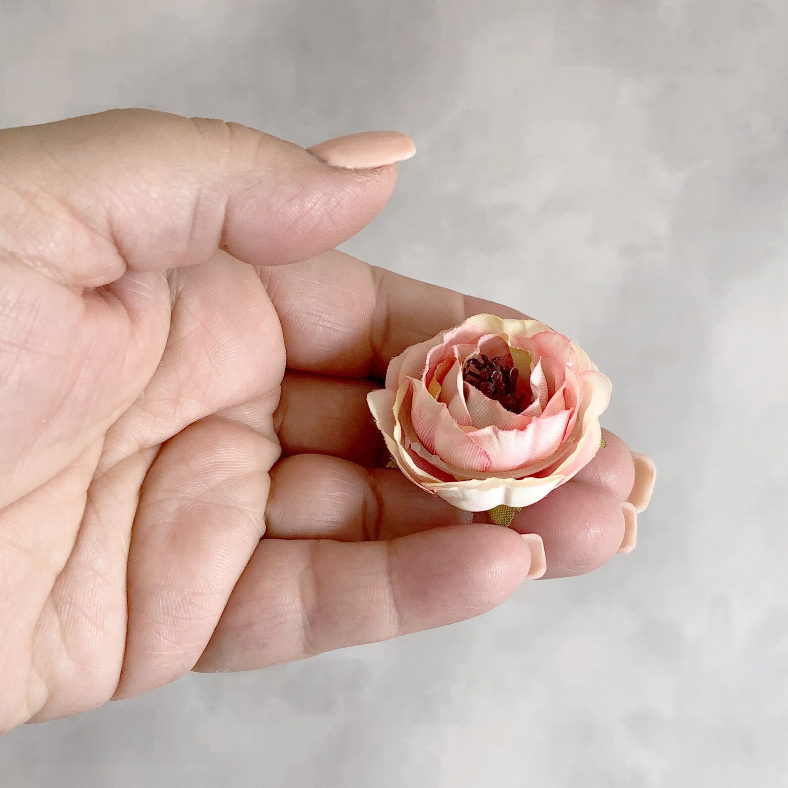 5 Small CREAMY PINK Vintage Inspired Ruffle Ranunculus - Etsy
