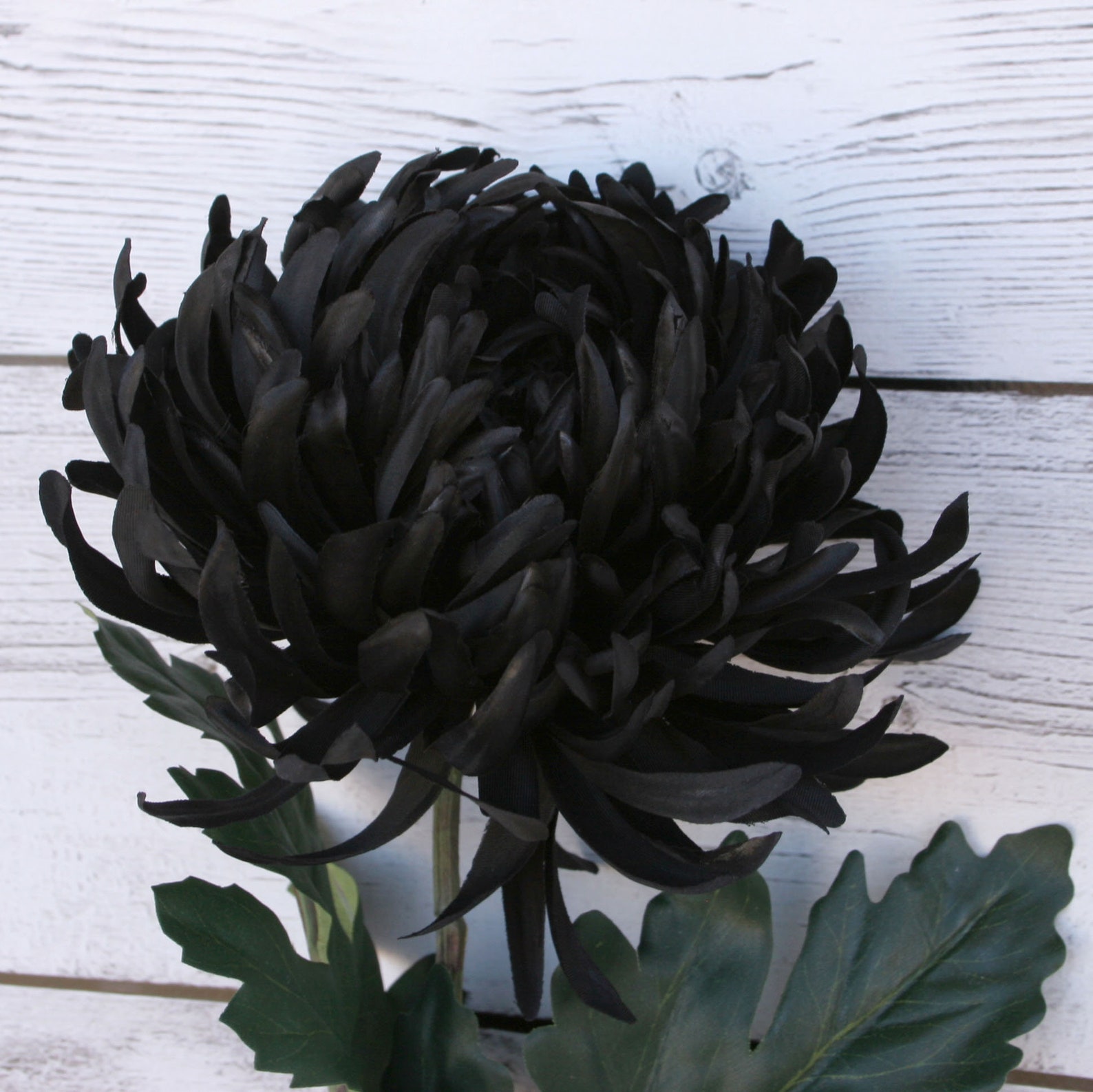 Jumbo Black Mum - Artificial Flowers, Silk Flower - With or Without ...