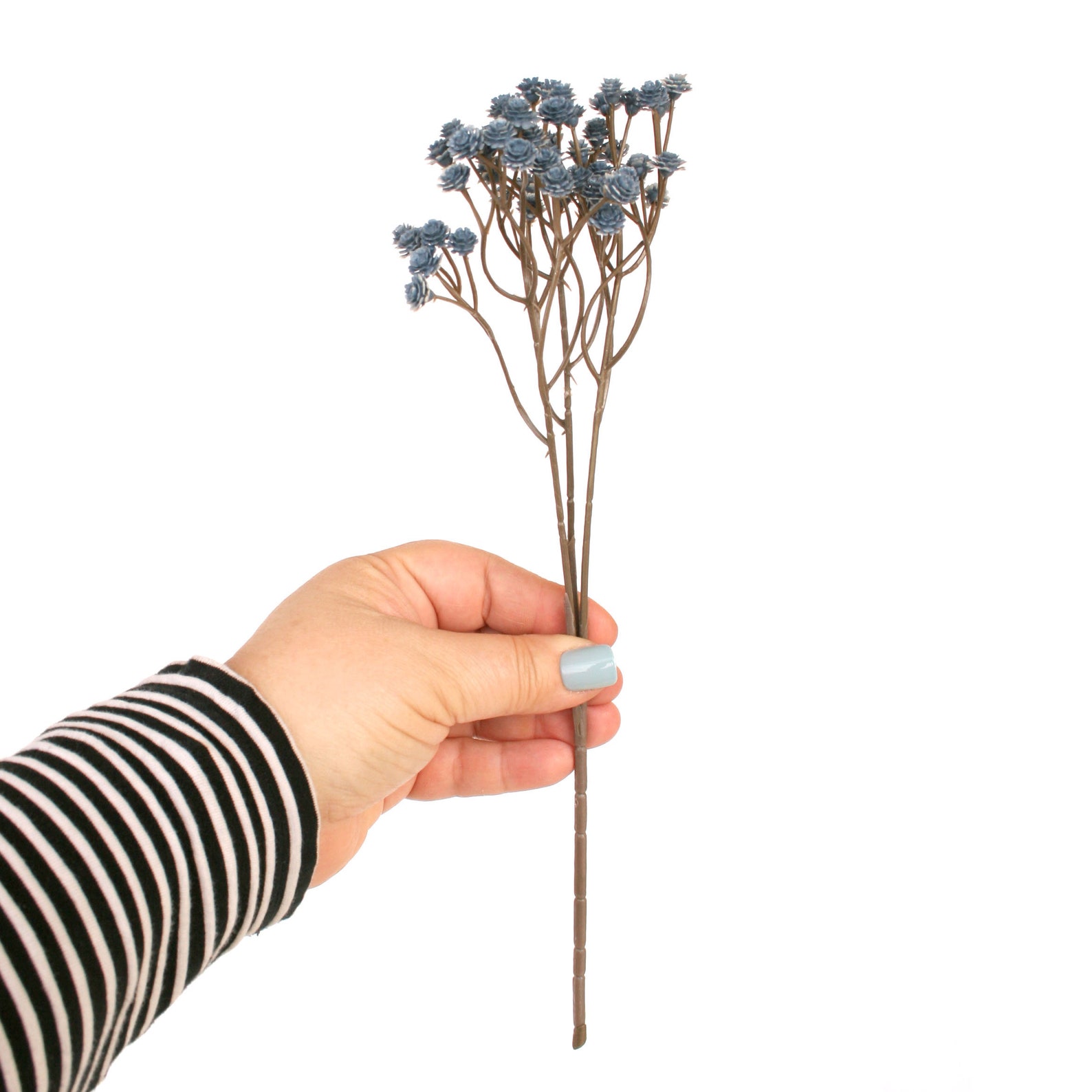 Blue Gypsophila Baby's Breath PRE-ORDER - Etsy