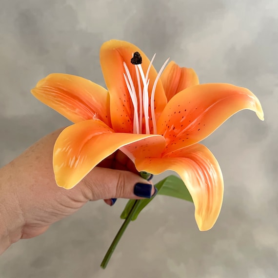 Easter Lily Flower