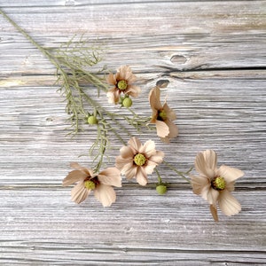 Beige Cosmo Branch - Artificial Flowers, Silk Flowers - Etsy