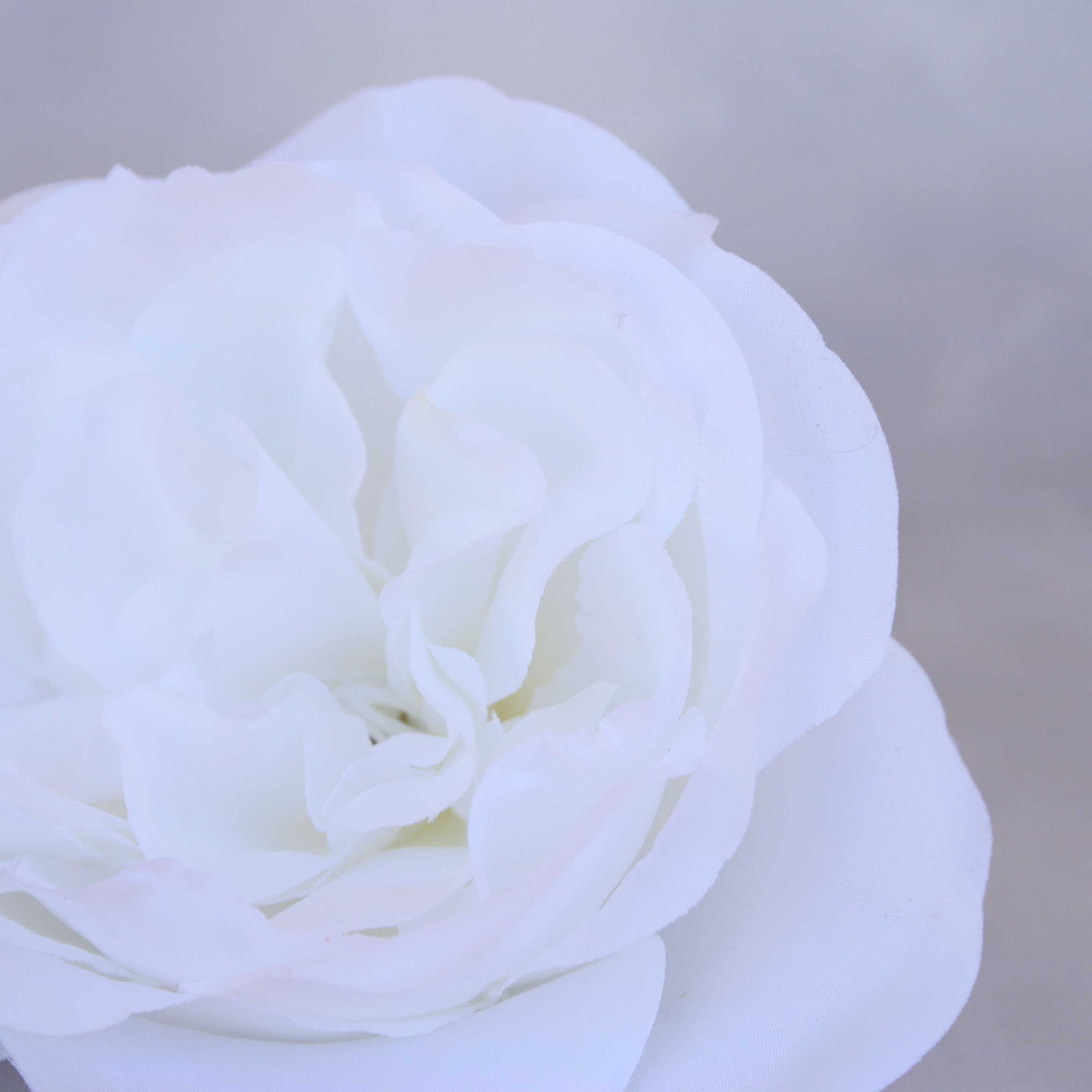 Pure White Cabbage Rose Artificial Flower Silk Flower Heads | Etsy