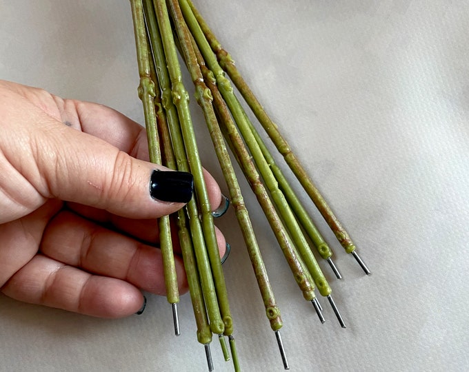 10 Stems for DIY Bouquets - Green and Brown - Etsy