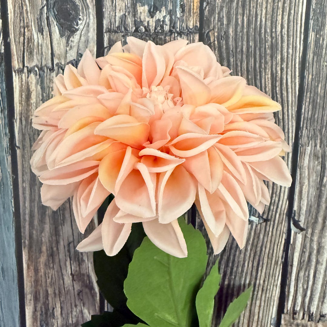 Real Touch Peach Pink Dinner Plate Dahlia - Artificial Flower ...