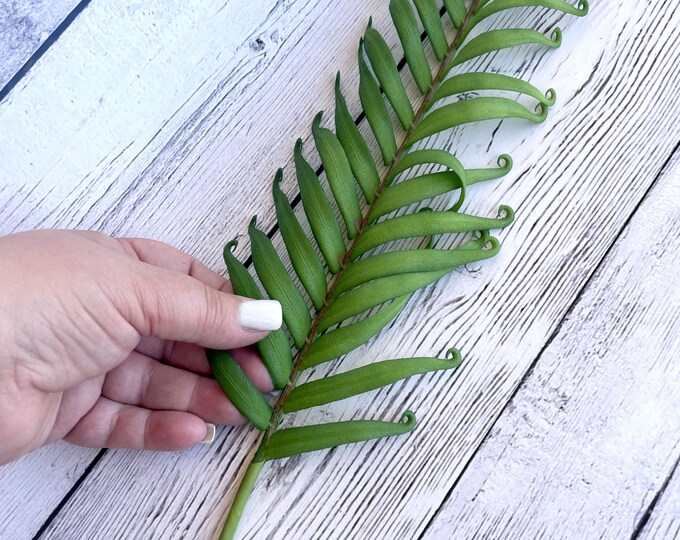 Real Touch Fern Stem - 29 Inches - Artificial Floral, Leaves - Etsy