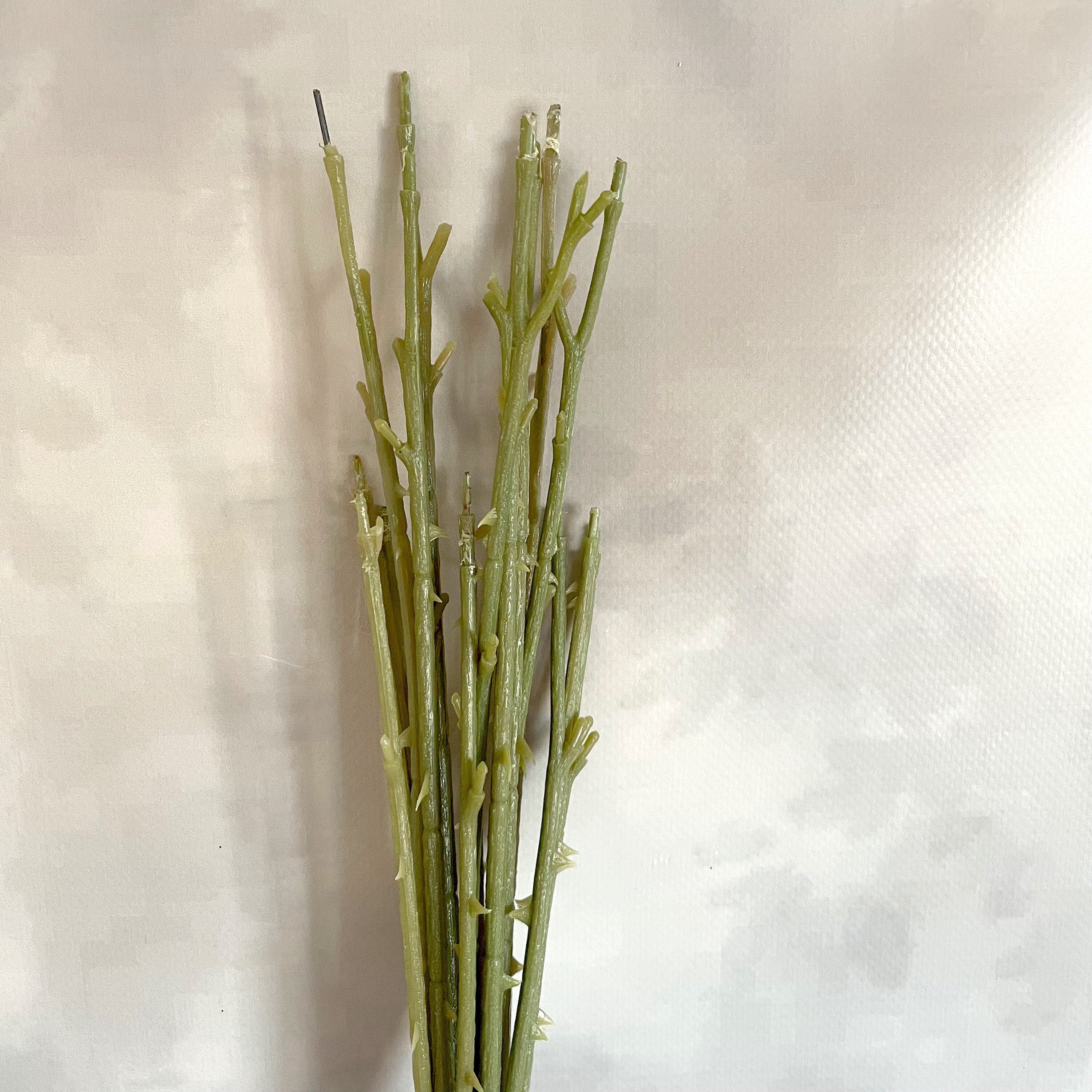 8 Bare Rose Stems for DIY Bouquets - 2 Floral Attachments and 3 Leaf ...