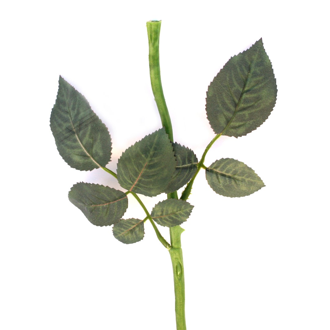 5 Large Rose Stems With Leaves for DIY Bouquets - Etsy