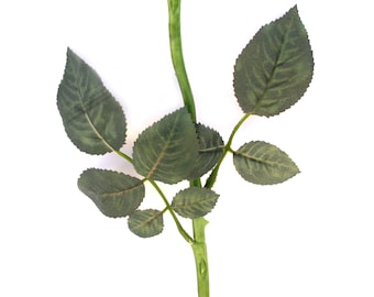 10 Botanical Rose Stems With Leaves for DIY Bouquets - Etsy