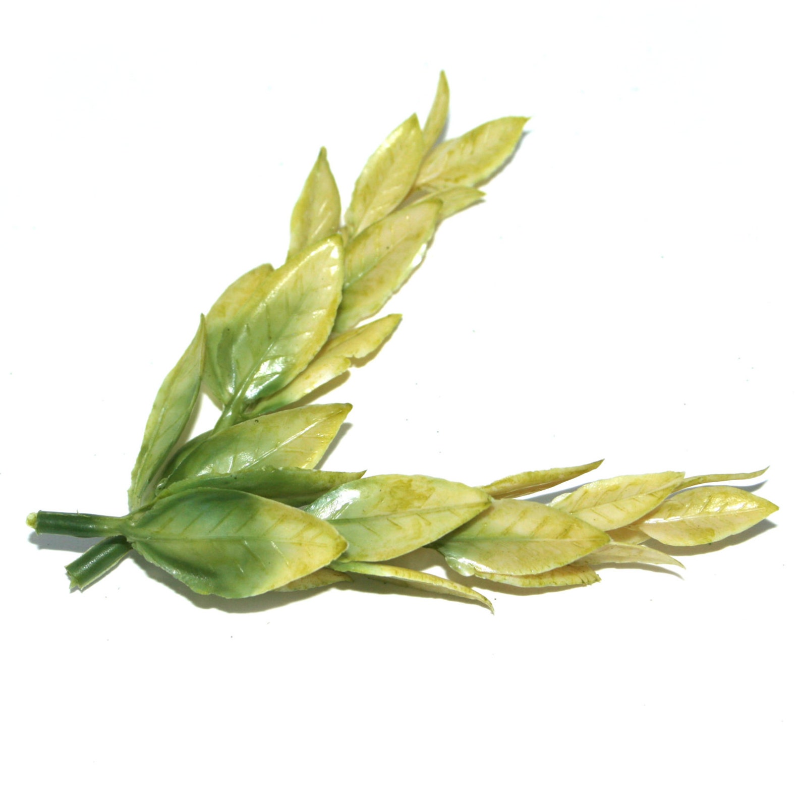 6 Green Flame Leaf Floral Sprigs Odd Floral Succulent | Etsy