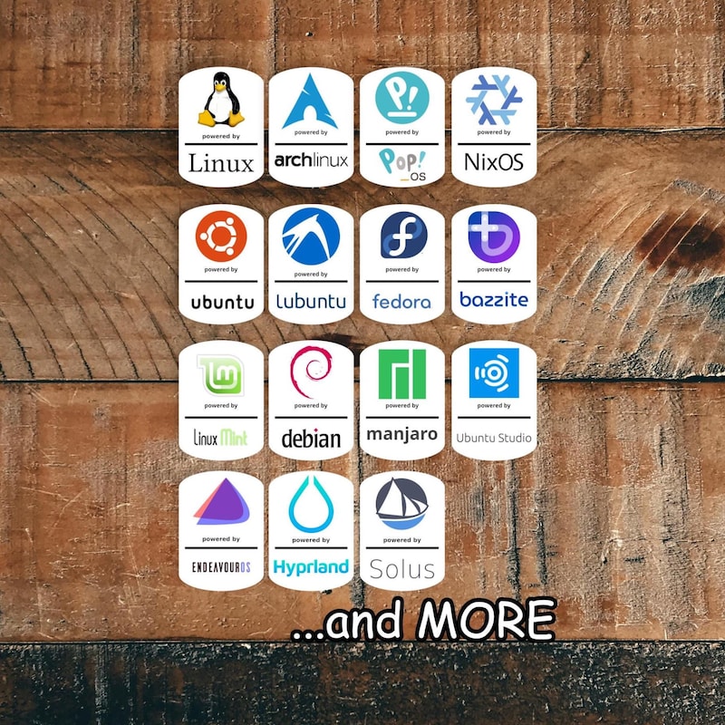 Zorin of Linux Coffee Mugs - Etsy Canada