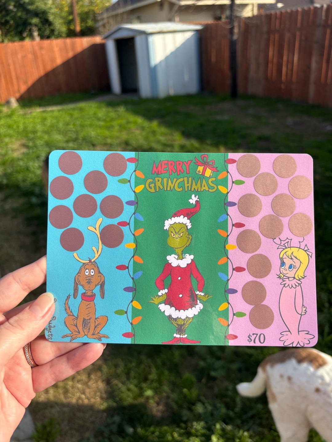 Grinch Scratch off Savings Challenge | A5 | Laminated - Etsy