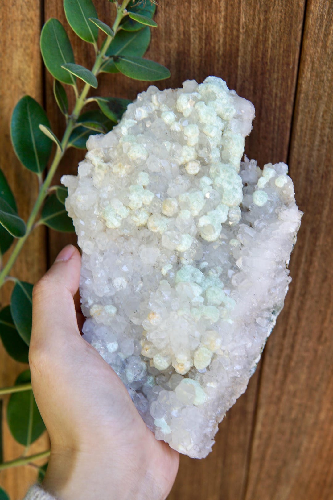 Rare Prehnite Cluster Specimen With Quartz 2.26 Lbs From Morocco - Etsy