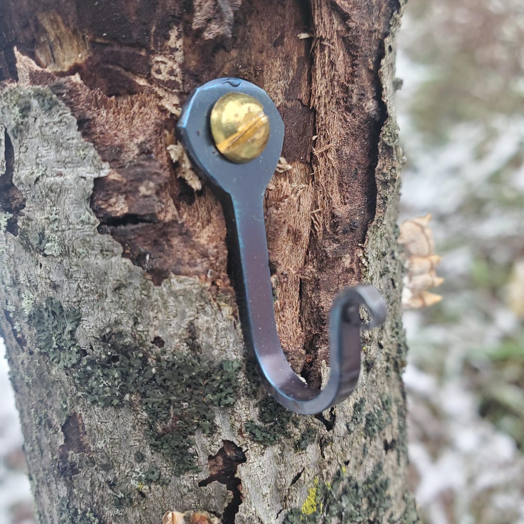 Hand Forged Horse Shoe Nail Hook Hot Blued. Brass Screw. Key Hanger. - Etsy
