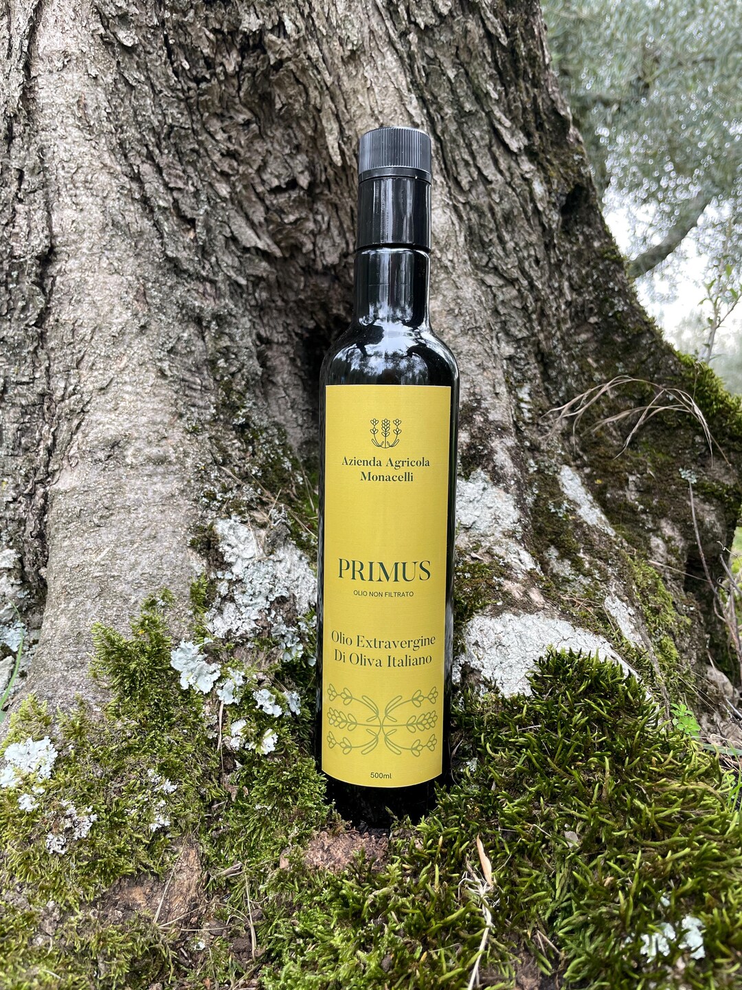 Primus Extra Virgin Olive Oil Umbrian 100% Italian 0.5L - Etsy