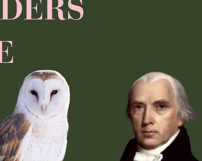 The Founders Look Like Birds 2025 Calendar (LIMITED SIGNED PRINT) - Etsy