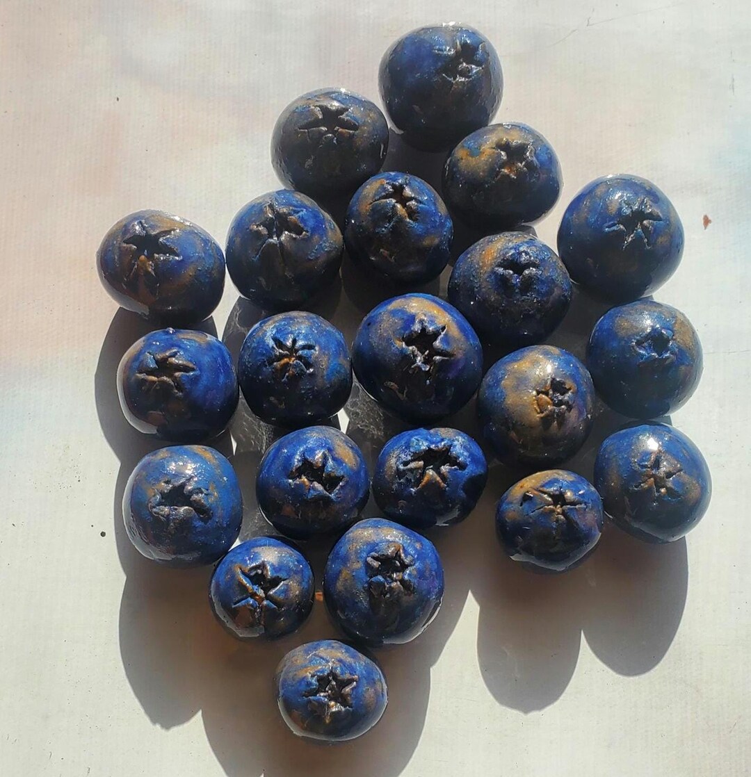Ceramic Blueberry Magnets - Etsy
