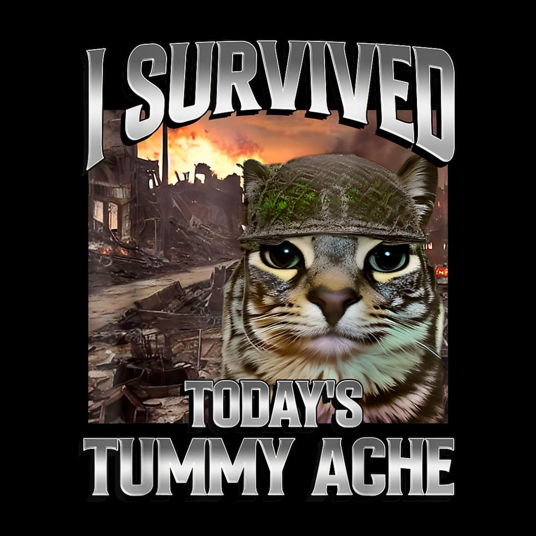 I Survived Todays Tummy Ache Funny Cat Design PNG Meme-inspired Digital ...