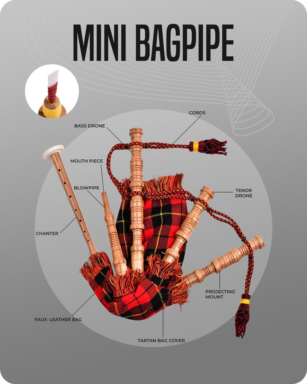 Scottish Mini Miniature Bagpipe, Rosewood Bagpipe for Beginners ...