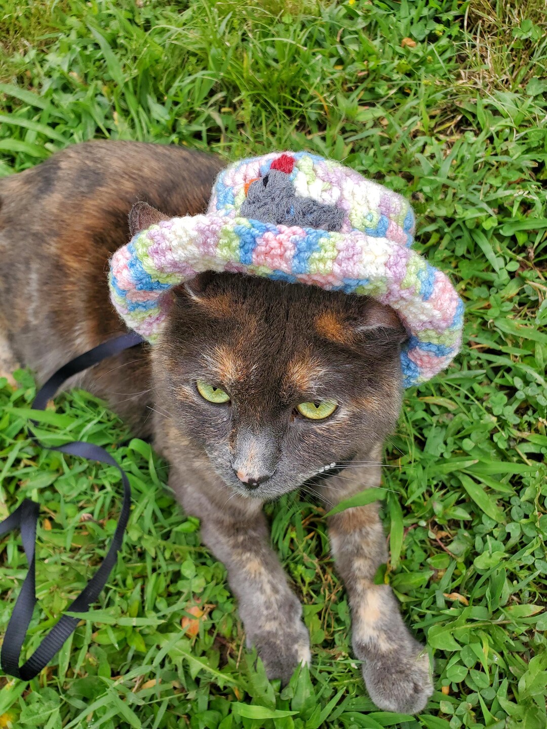Kitty Kat Sun Hat - Etsy
