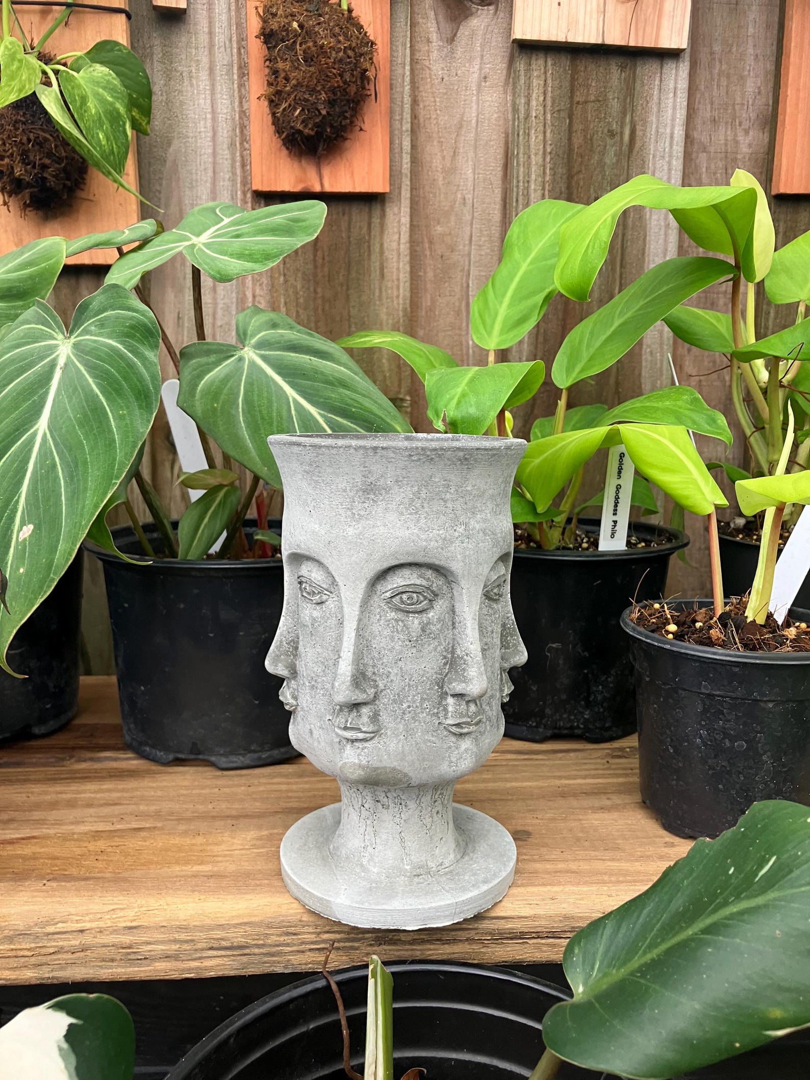 Concrete Pot Planter, Vessel Multi Faced “the Chalice” Cup, DECOR ...