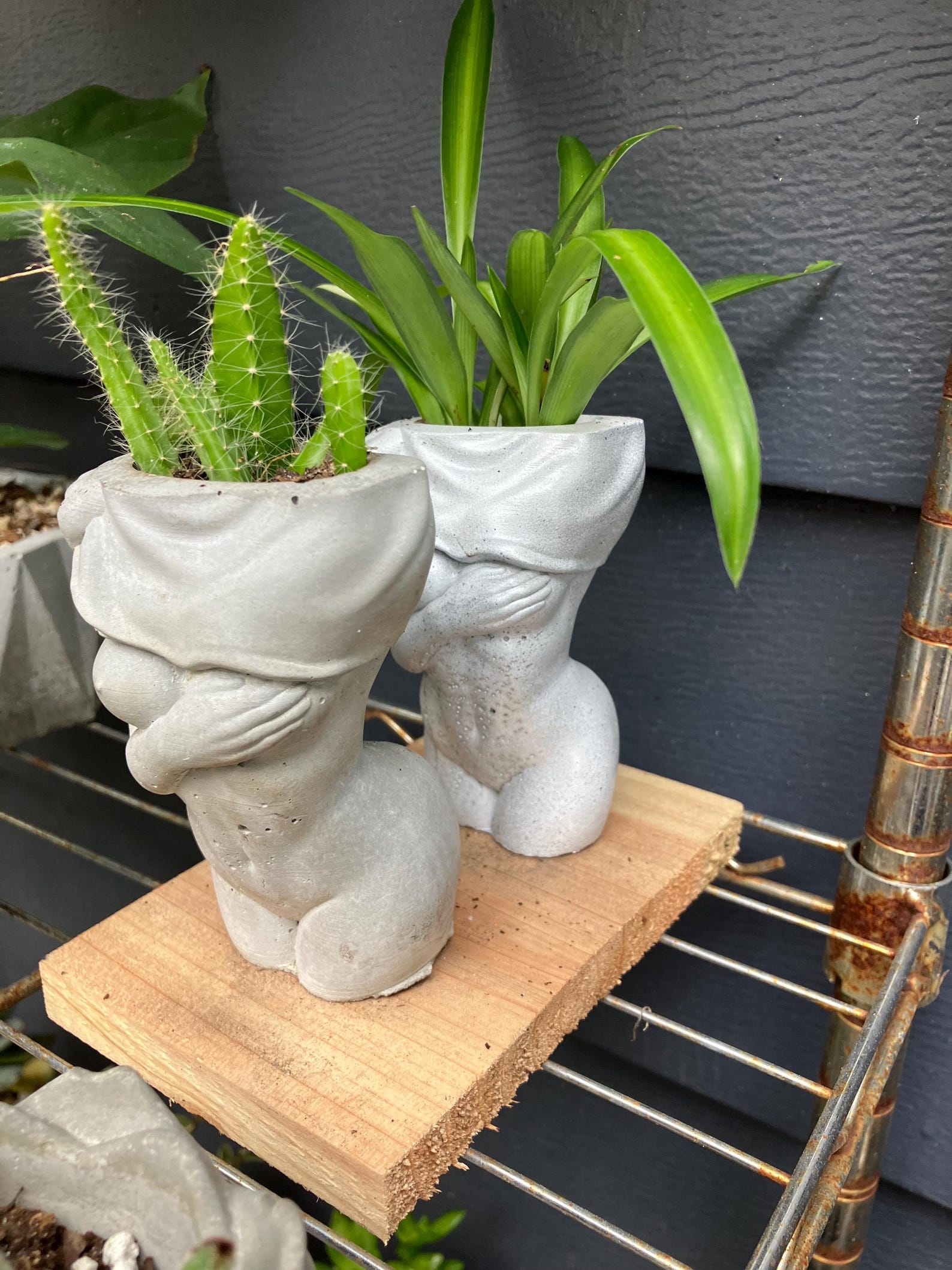 Concrete Goddess Pot Statue Vessel Small Each - Etsy