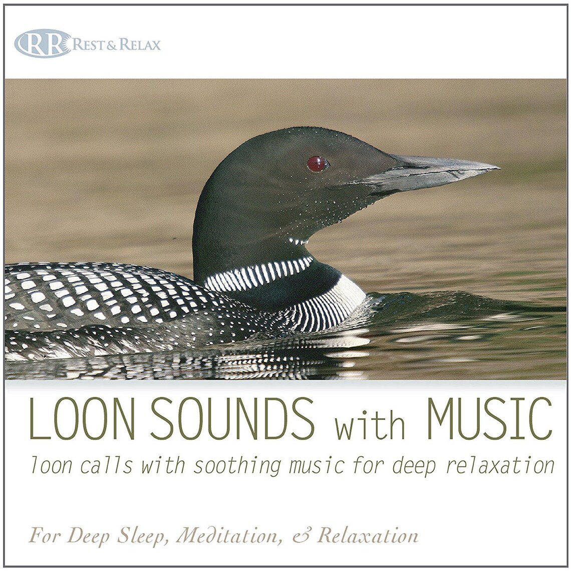 Loon Sounds with Music CD On Golden Pond Loon Calls and | Etsy