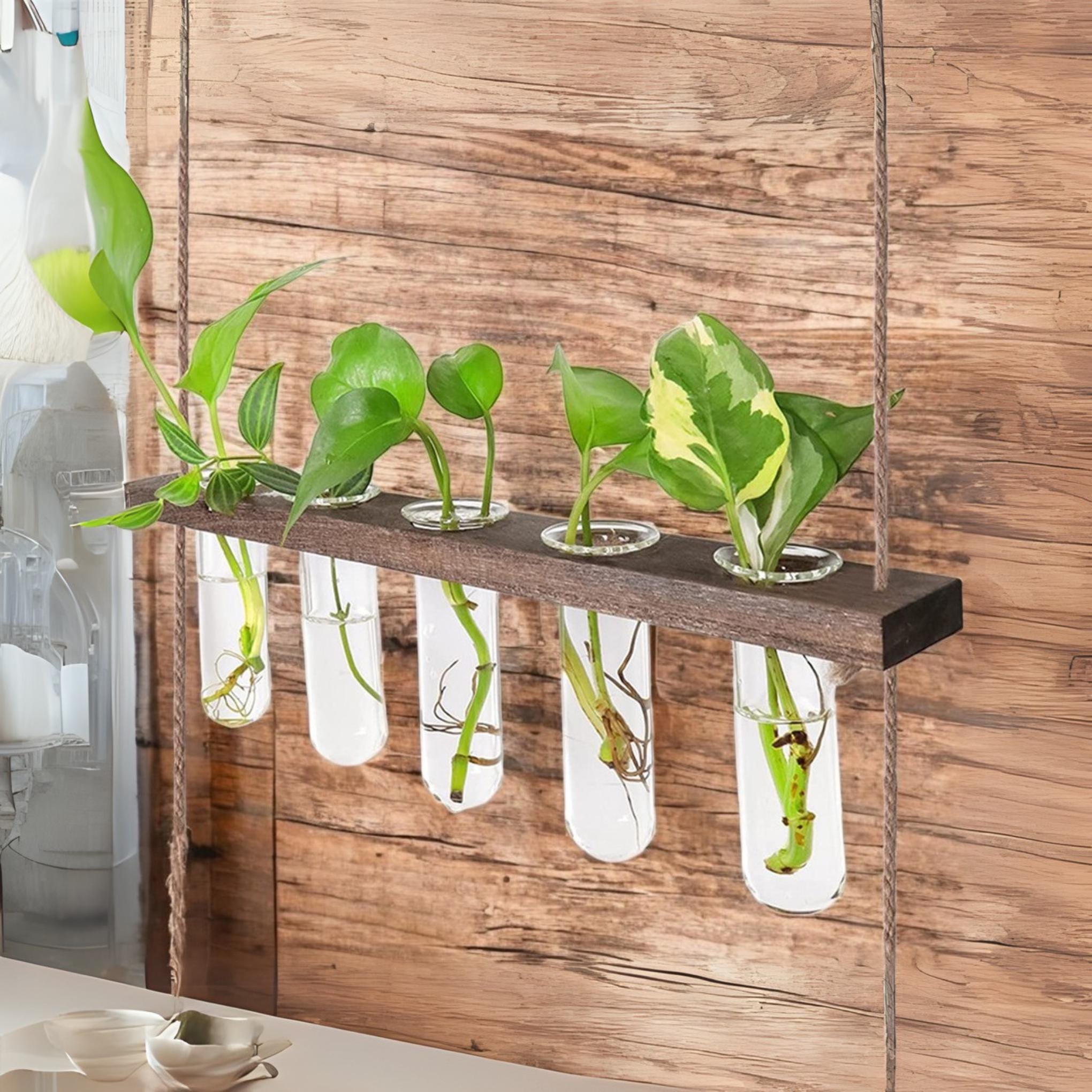 Unique Glass Planter Vase With Wooden Stand | Retro Wall Hanging Decor ...