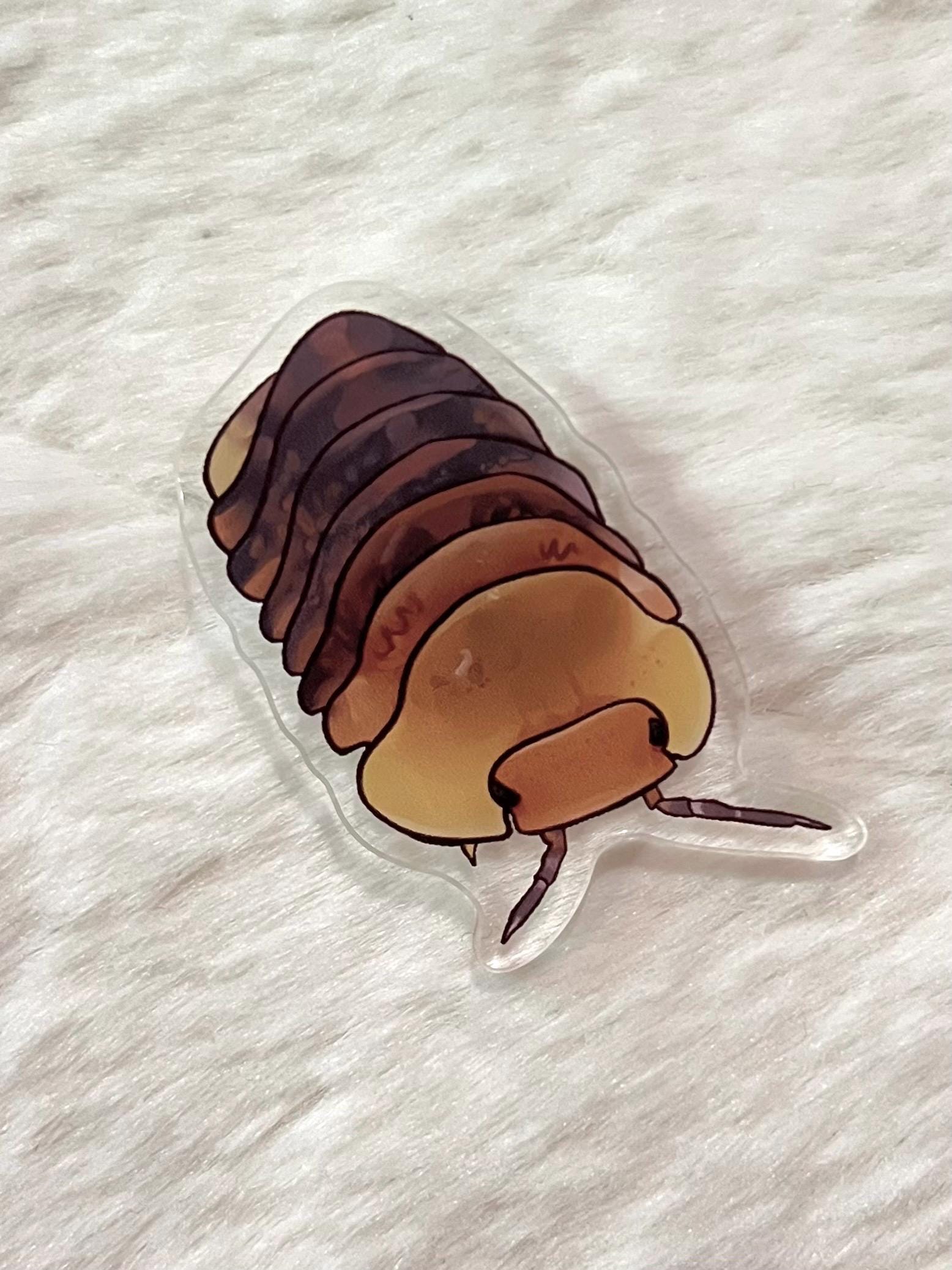 Isopod Acrylic Pin | Bug Pins - Etsy