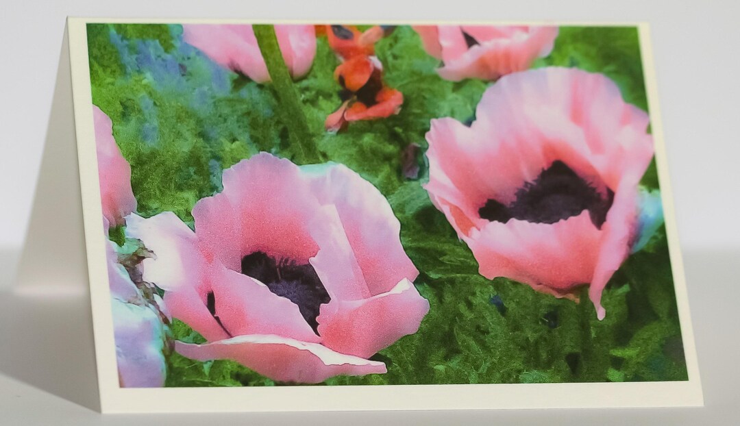 Pink Poppy Notecards, Fine Art Photo Prints With Deckled Edge Envelopes ...