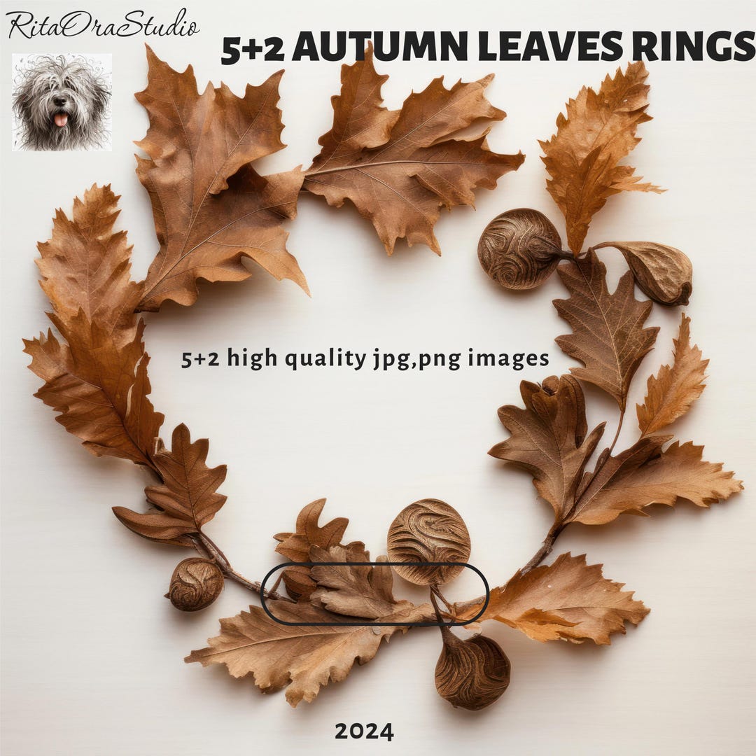 5+3 Digital Clipart,jpg,png.autumn Rings - Etsy