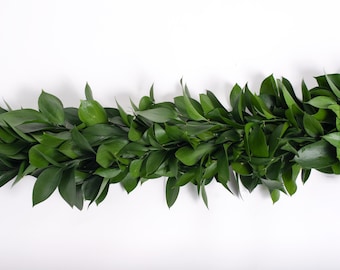 Fresh Ruscus Seeded Garland, Real Greenery Garland, Wedding Garland ...