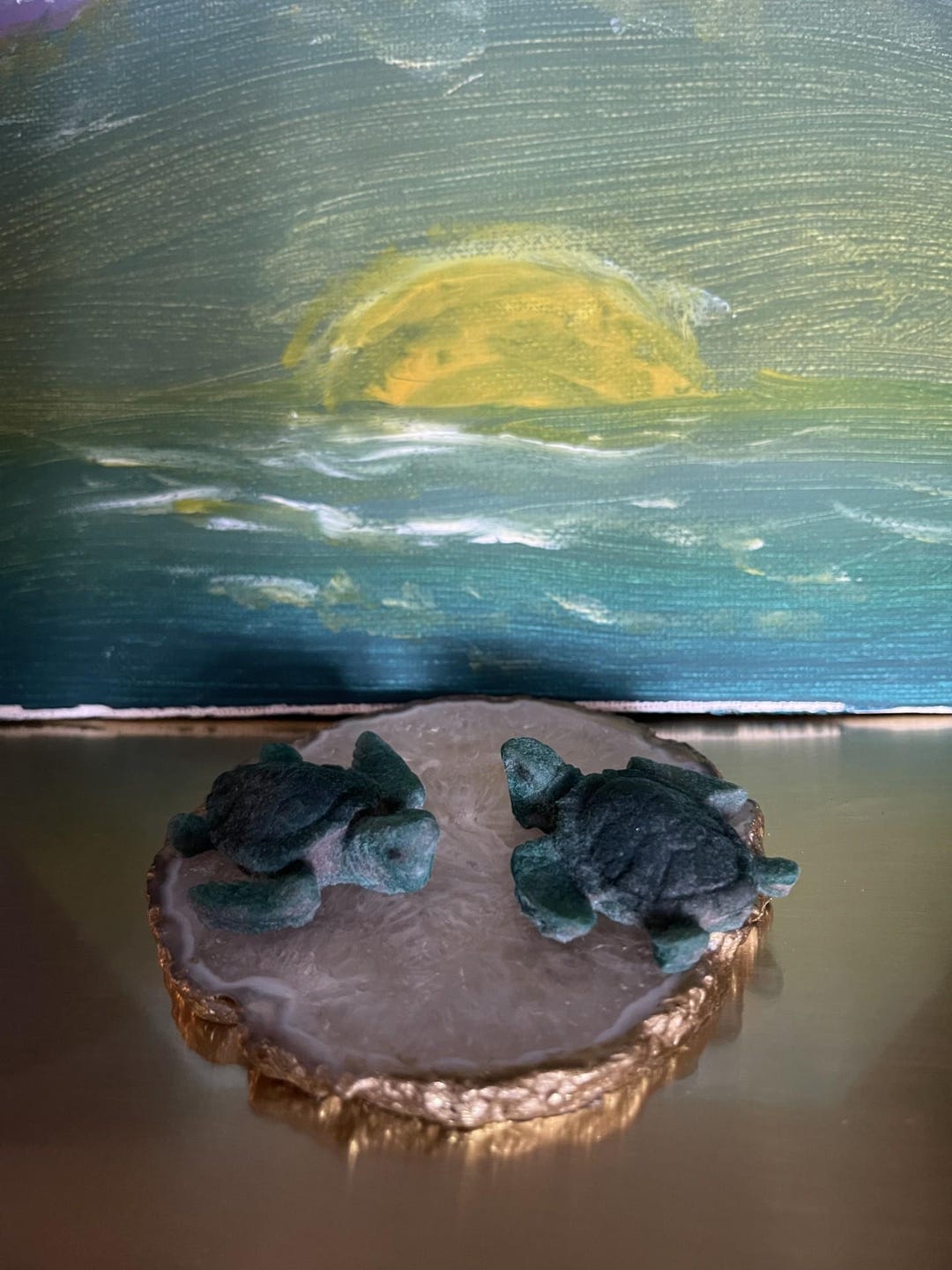 Taba Squishy Baby Turtle - Etsy