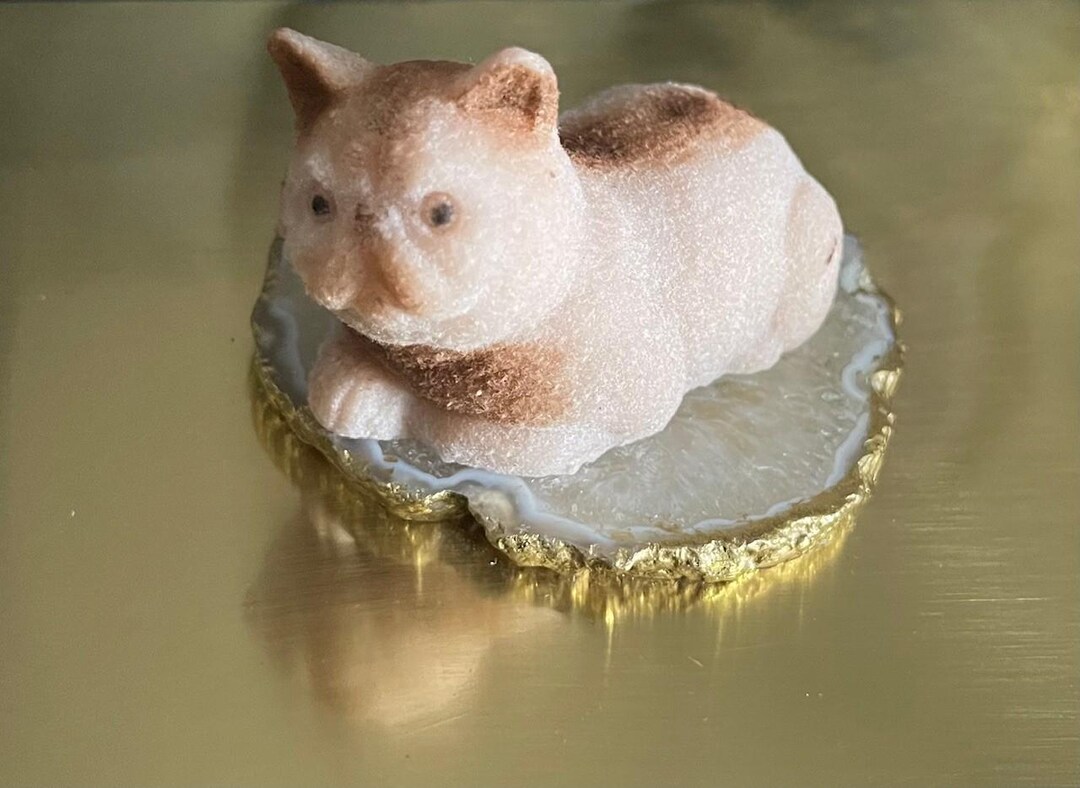 Taba Squishy Fat Exotic Shorthair Cat - Etsy