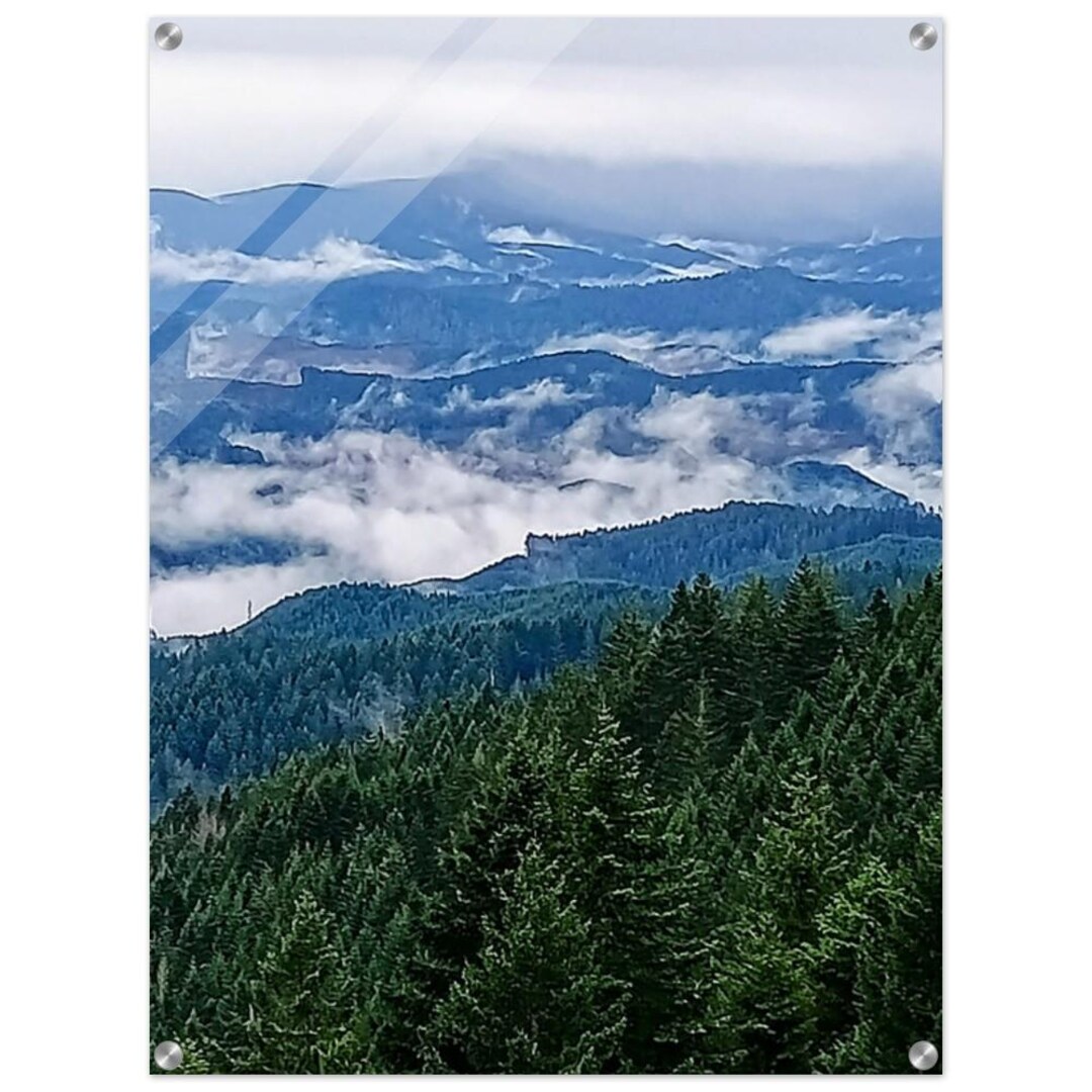 PNW Wall Art Airbnb Wall Art Home Decor House Warming Gift Outdoor ...